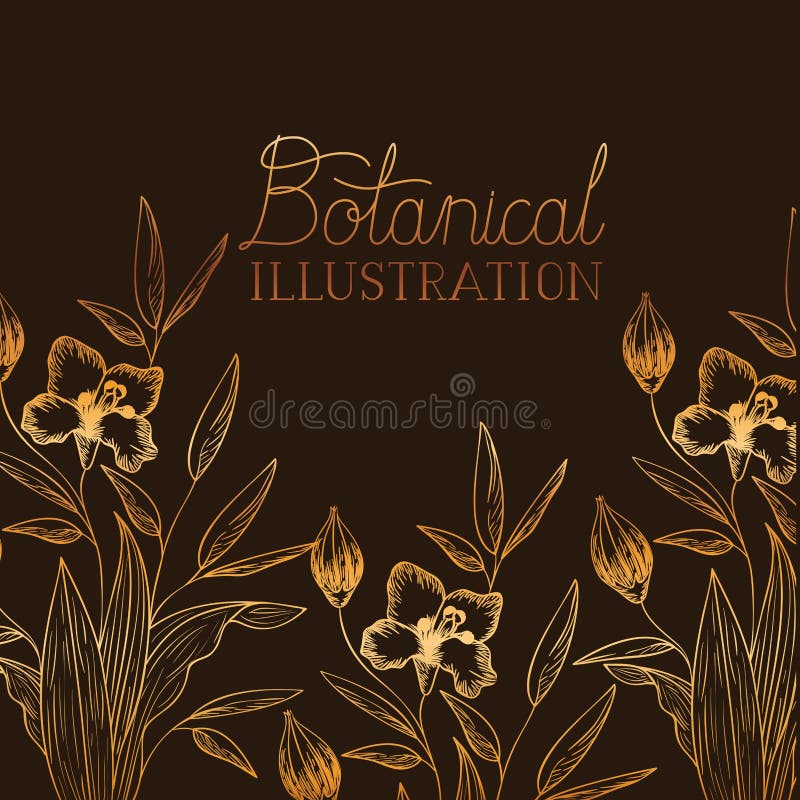 Botanical Illustration Label with Plants Stock Vector - Illustration of ...