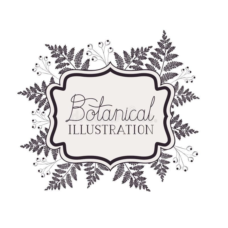 Botanical Illustration Label with Plants Stock Vector - Illustration of ...