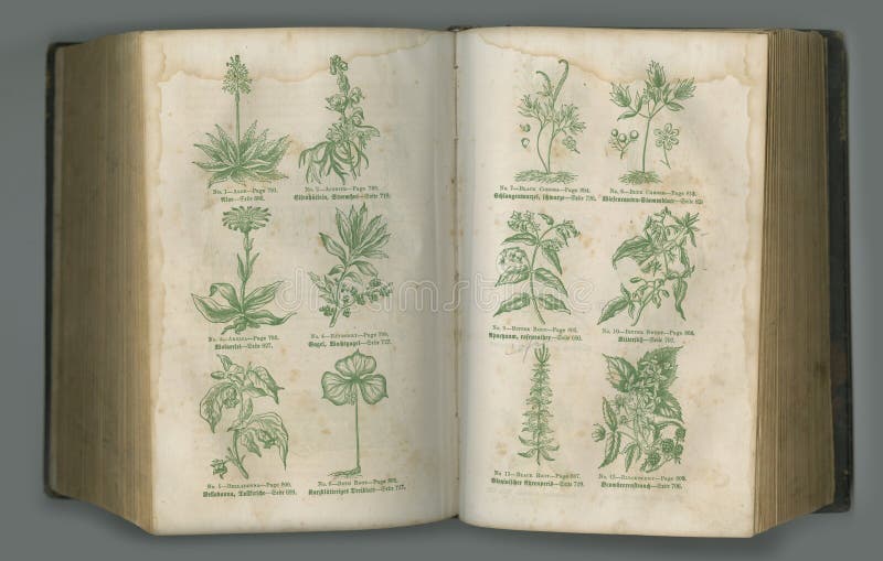 Botanical Journal. an Aged Biology Book with Its Pages on Display ...