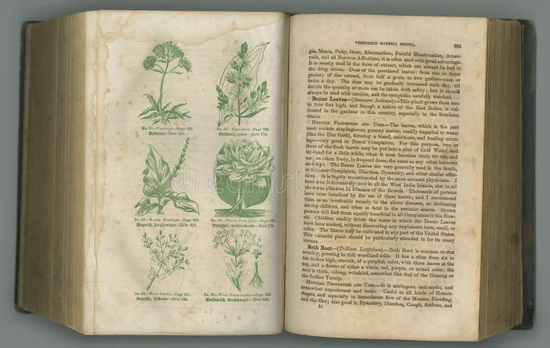 Botanical Journal. an Aged Biology Book with Its Pages on Display ...