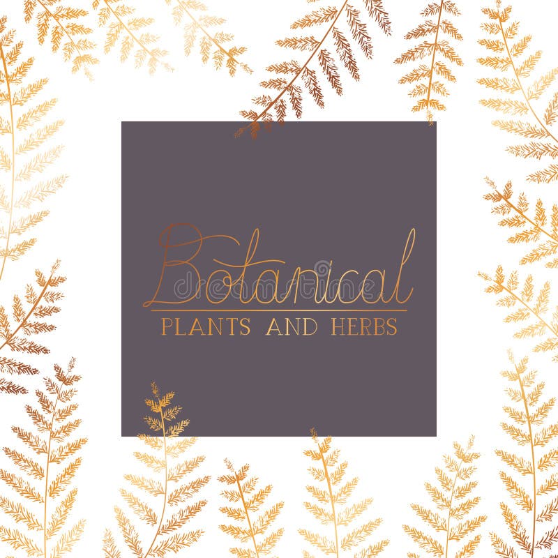 Botanical Label with Plants and Herbs Stock Vector - Illustration of ...