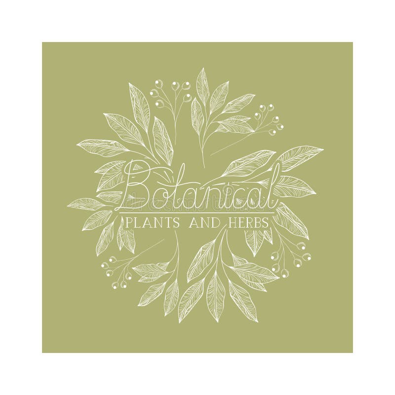 Botanical Label with Plants and Herbs Stock Vector - Illustration of ...