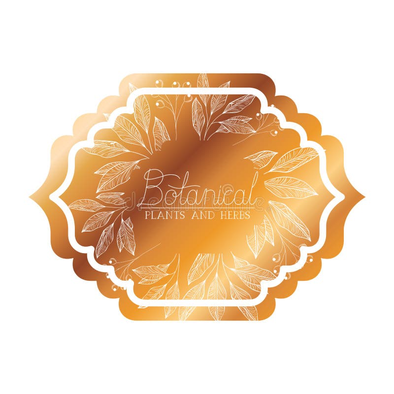 Botanical Label with Plants and Herbs Stock Vector - Illustration of ...