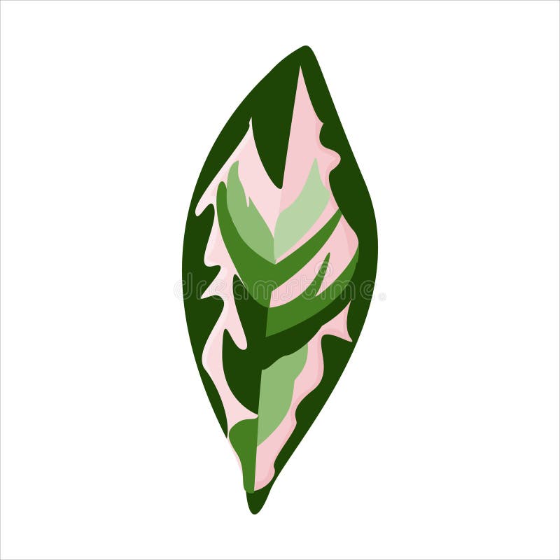 Botanical Leaf Clip Art Natural Illustration Stock Vector ...