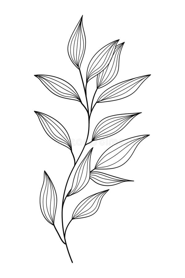 Botanical Leaf Simple Outline Sketch Doodle Hand Drawn Illustration ...