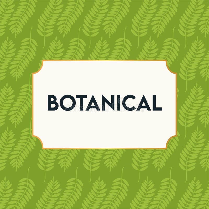Botanical Lettering in Poster with Leafs Pattern Stock Vector ...
