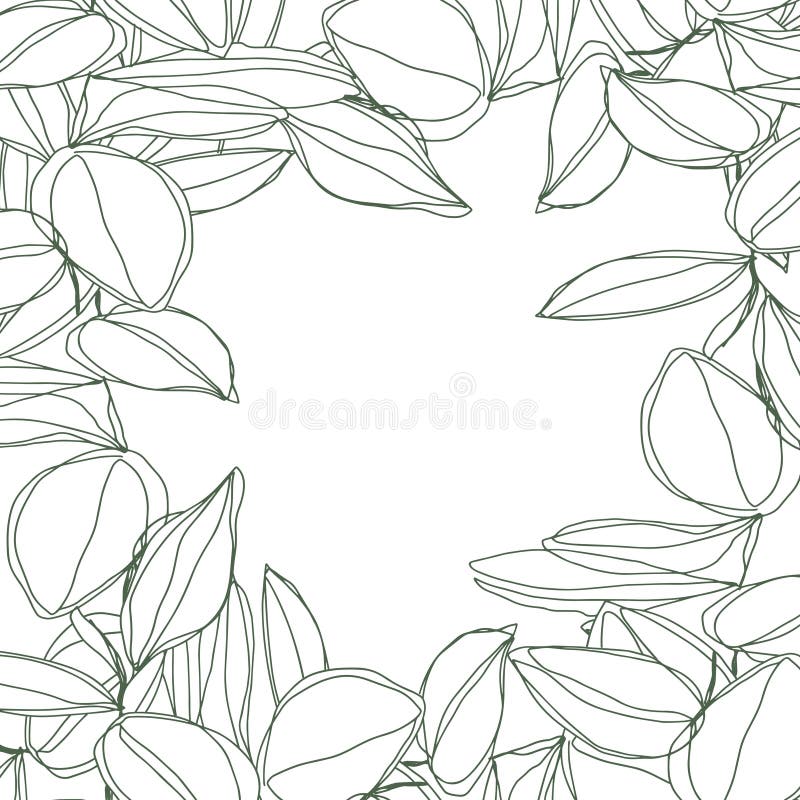 Botanical Minimalism Line Art Leaves Vector Frame Stock Vector ...