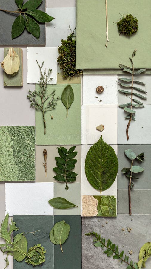 Botanical Moodboard with Green Tones Moss Leaves and Natural Textures ...