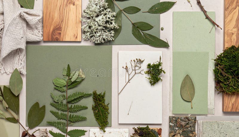 Botanical Moodboard with Green Tones Moss Leaves and Natural Textures ...
