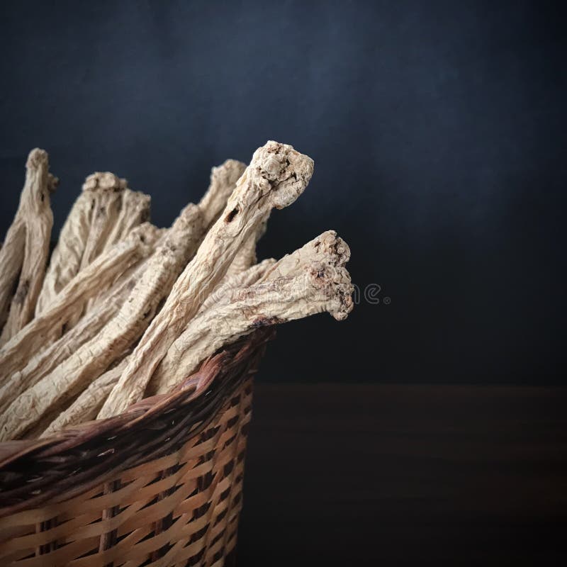 Codonopsis Root in Rattan Basket with Black Background. Square Photo ...