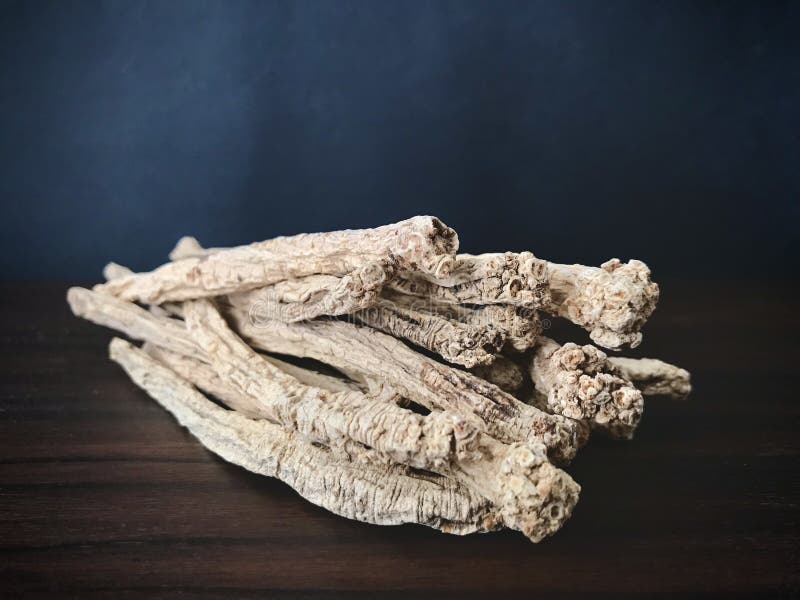 Codonopsis Root on Brown Wooden Table with Black Background. Select ...