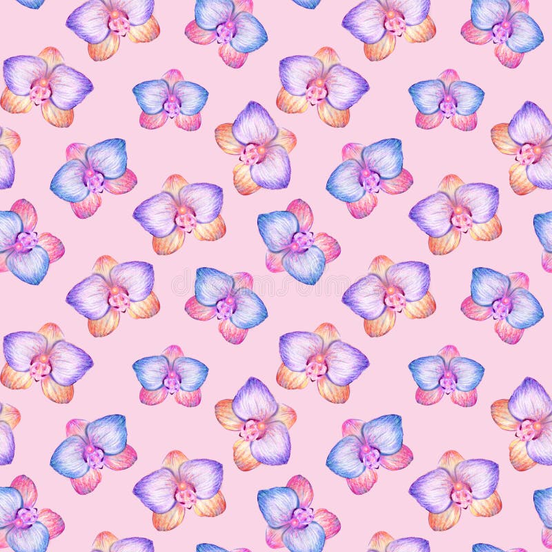 Botanical Nature Wallpaper Orchid Flower Seamless Pattern Pink