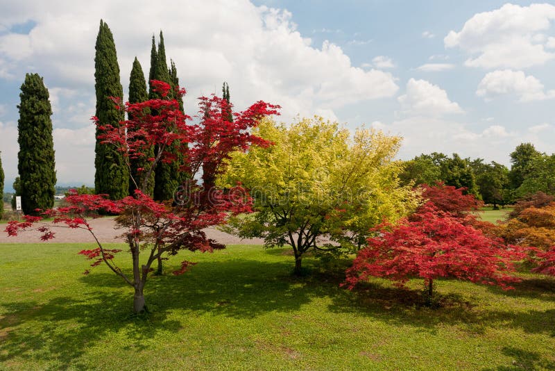 Botanical Park stock photo. Image of summer, green, meadow - 27487066