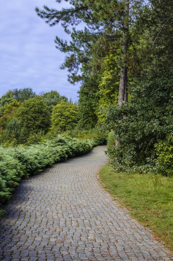 Botanical Park with a Set of Trees Stock Photo - Image of landscape ...