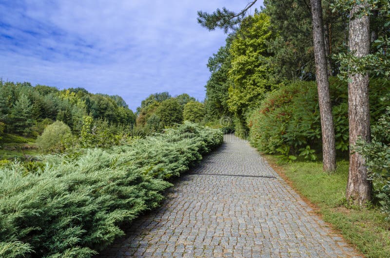 Botanical Park with a Set of Trees Stock Image - Image of shrubs, tree ...