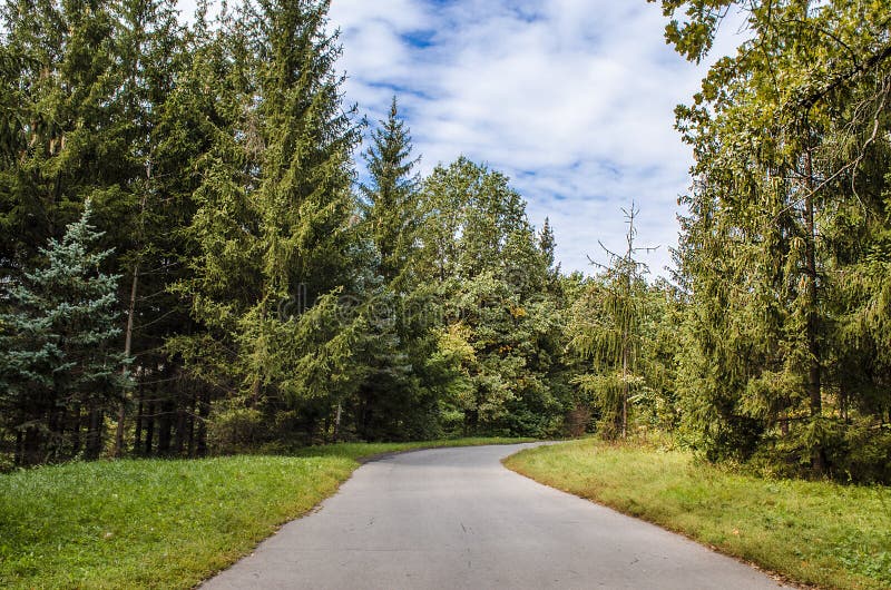 Botanical Park with a Set of Trees Stock Photo - Image of tree, plant ...