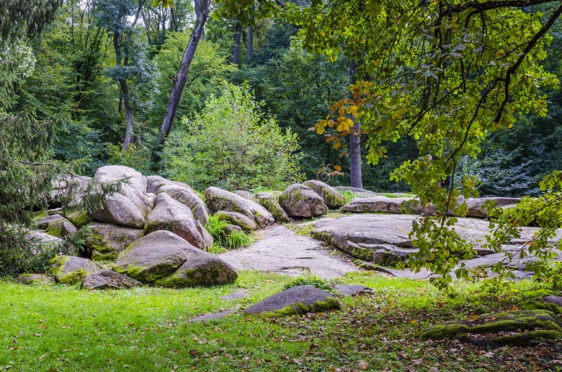 Botanical Park with a Set of Trees Stock Image - Image of city ...