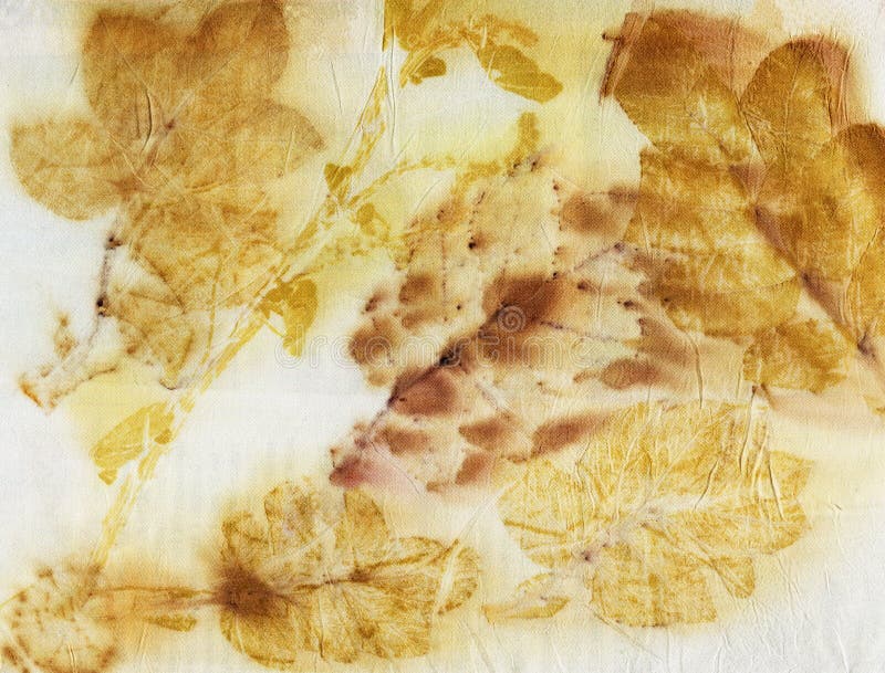 Botanical Print with Leaf Prints on Natural Silk Stock Photo - Image of ...