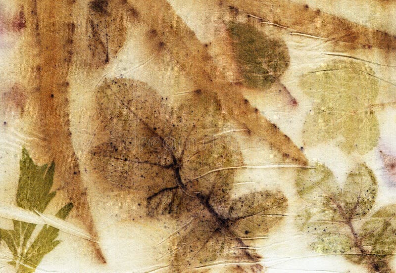 Botanical Print with Leaf Prints on Natural Silk Stock Image - Image of ...