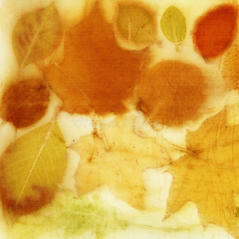 Botanical Print with Leaf Prints on Natural Silk Stock Photo - Image of ...