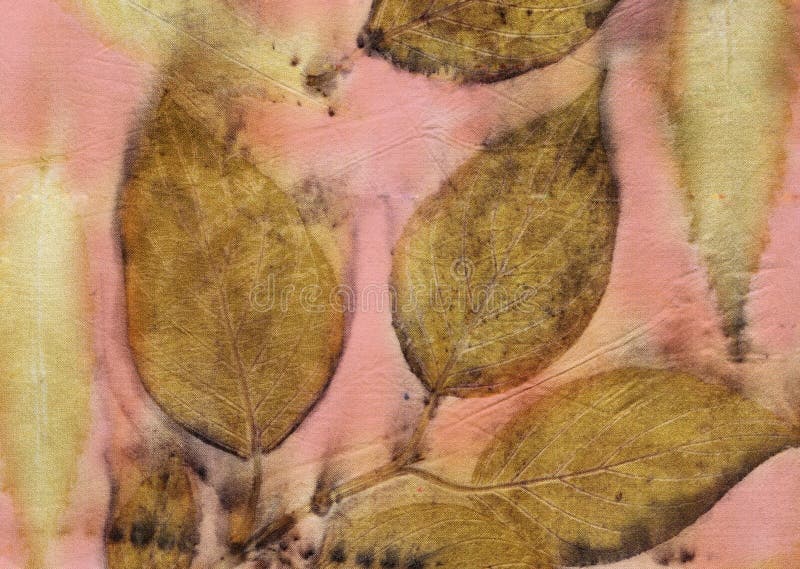 Botanical Print with Leaf Prints on Natural Silk Stock Illustration ...