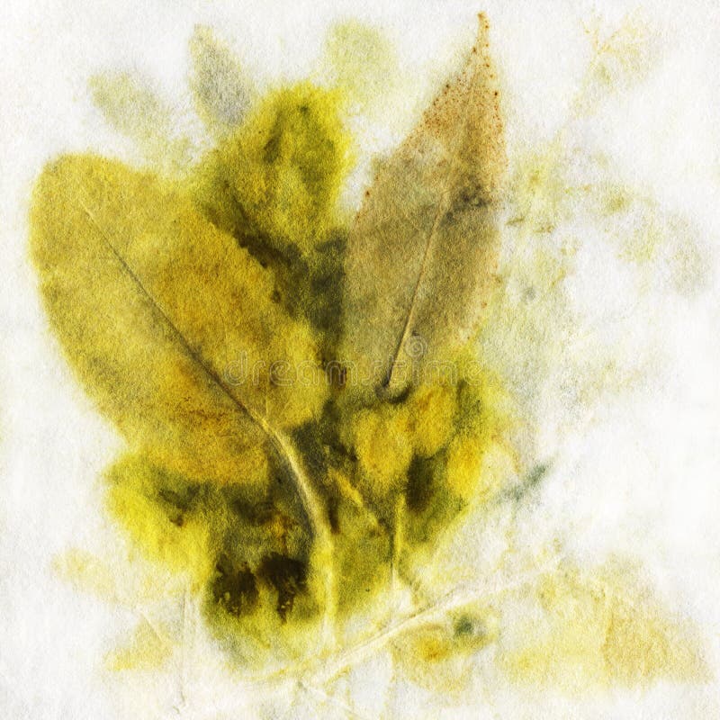 Botanical Print with Leaf Prints on Natural Silk Stock Photo - Image of ...