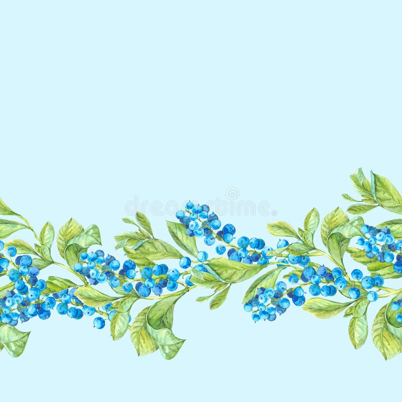Botanical Seamless Border with Blueberries Stock Illustration ...