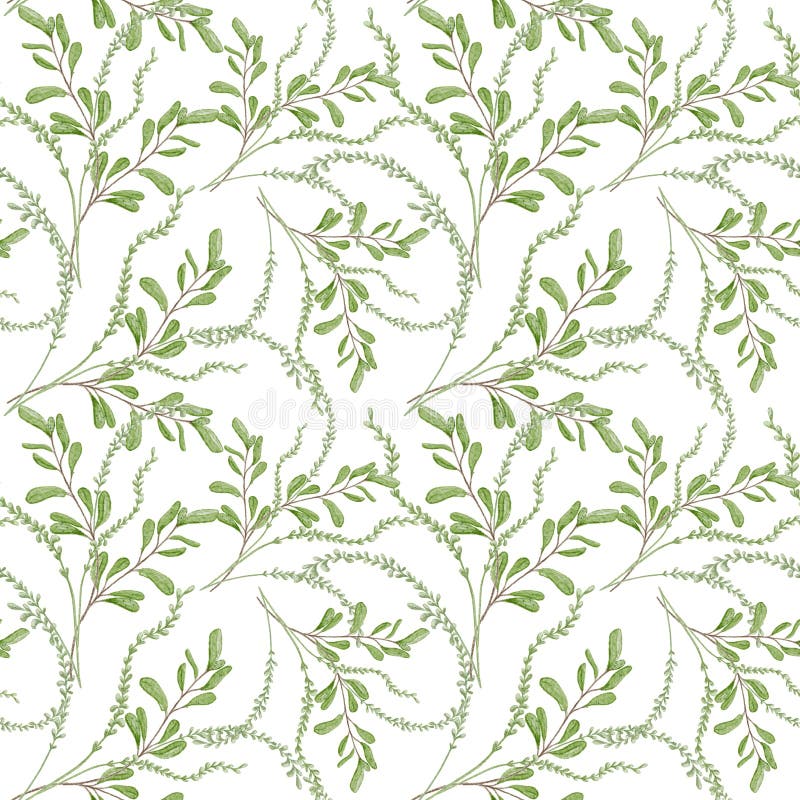 Botanical Seamless Pattern Foliage with Stems. Thin Green Branches with ...