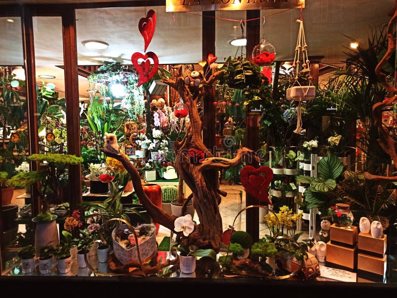 Botanical Shop Window with Decorated Tree Stock Photo - Image of ...