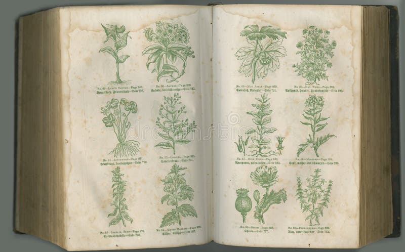 Botanical Textbook. an Aged Biology Book with Its Pages on Display ...