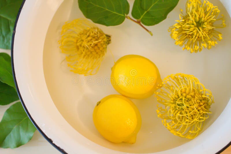 Botanical water stock image. Image of colorful, leaf - 85324709