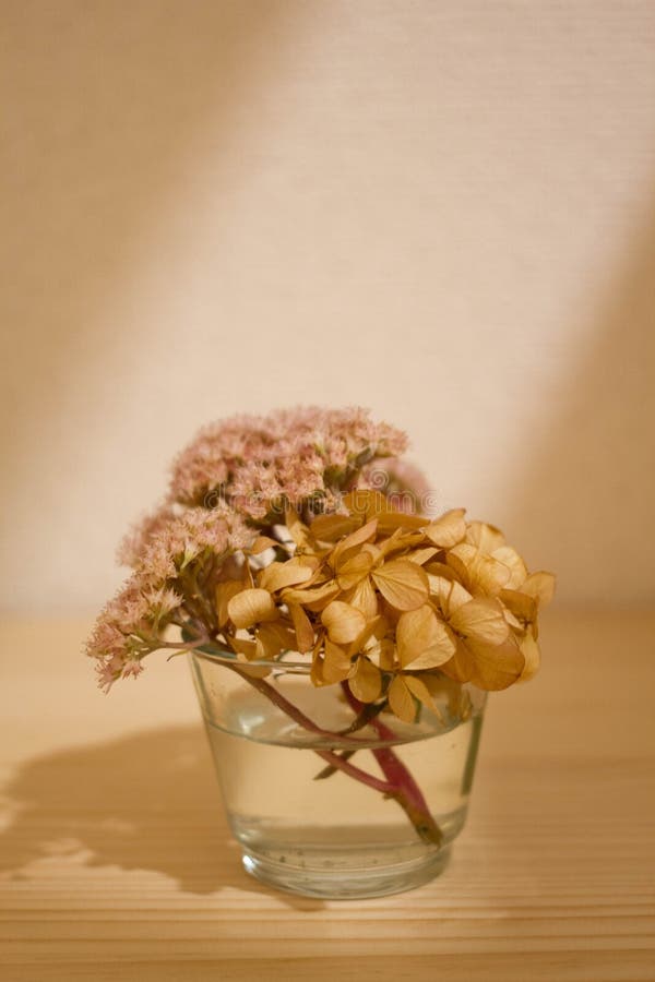 Botanical water stock photo. Image of leaf, fresh, drawing - 85329310