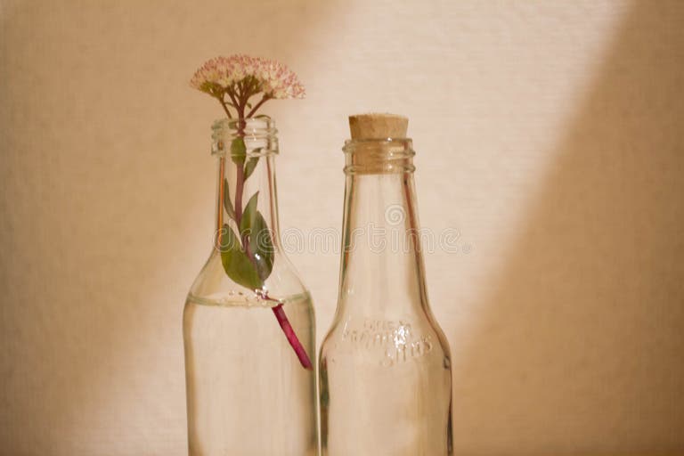 Botanical water stock photo. Image of drawn, leaf, flora - 85329444