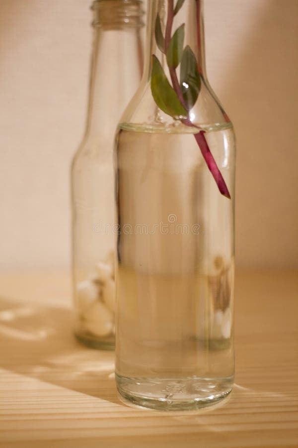 Botanical water stock image. Image of flora, leaf, branch - 85329457