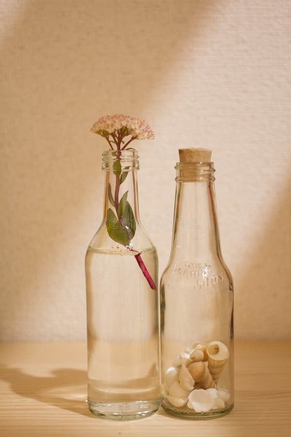 Botanical water stock image. Image of floral, leaf, isolated - 85329529