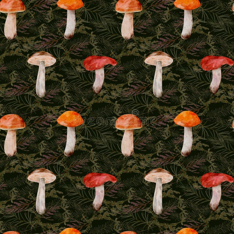 Delicate White Spores Stock Illustrations – 81 Delicate White Spores ...