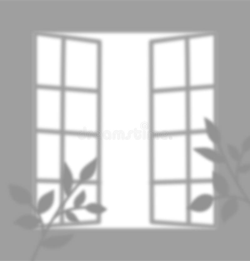 Botanical Window Shadow Product - 16 Stock Illustration - Illustration ...