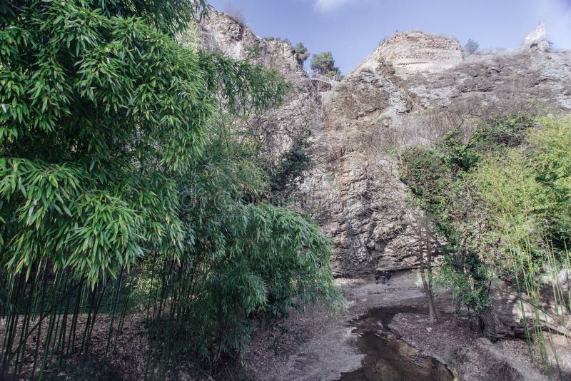 Botanik Garden in the Tbilisi at Spring Time Stock Image - Image of ...