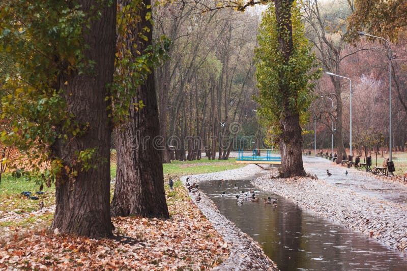 Botanischer Garten Im Regen Stockfoto - Bild von park, schnee: 46243972