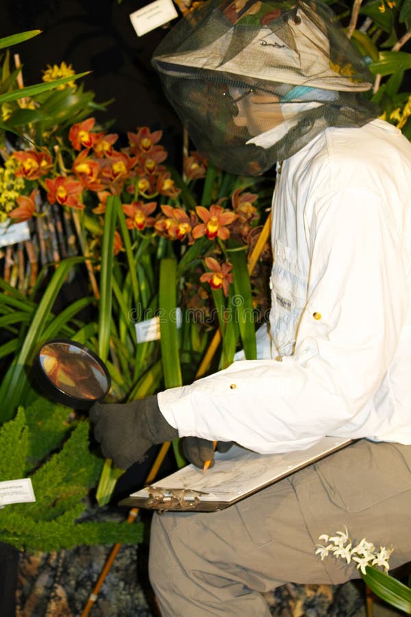 Botanist stock image. Image of study, education, scientist - 68539177