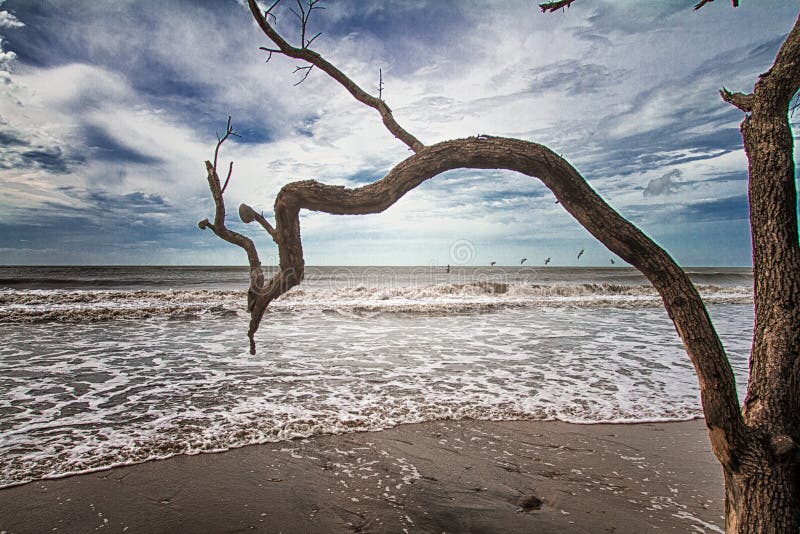 Botany Bay Beach stock photo. Image of horizon, scenery - 43169768
