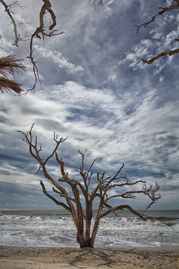Botany Bay Beach stock photo. Image of botany, carolina - 43169788