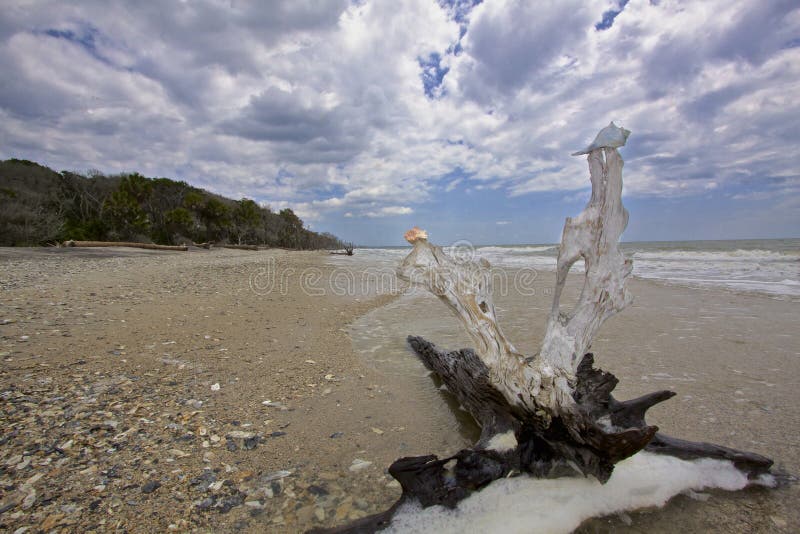 Botany Bay Plantation Boneyard Beach SC Stock Photo - Image of area ...