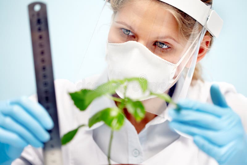 Botany stock photo. Image of woman, environment, biology - 78180206