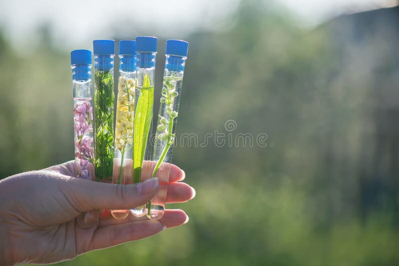 Botany concept. stock image. Image of sample, agriculture - 182860419