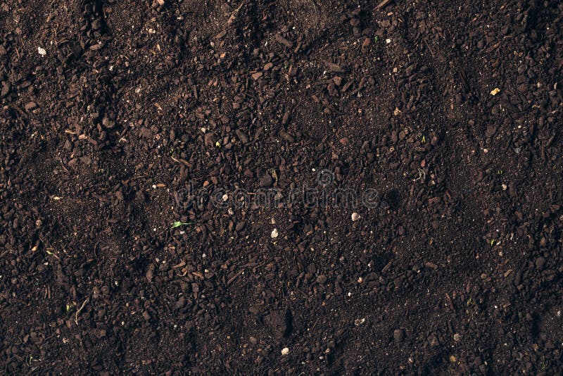 Botany Humus Compost Mix Top View Stock Image - Image of view, textured ...