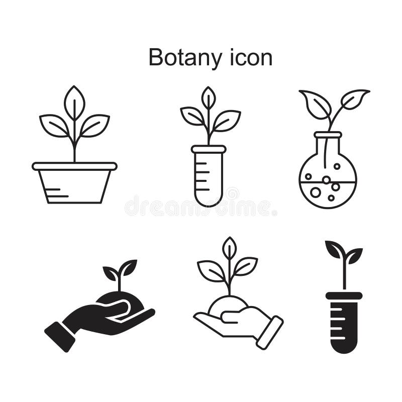Botany Icon Symbol Flat Vector Illustration for Graphic and Web Design ...