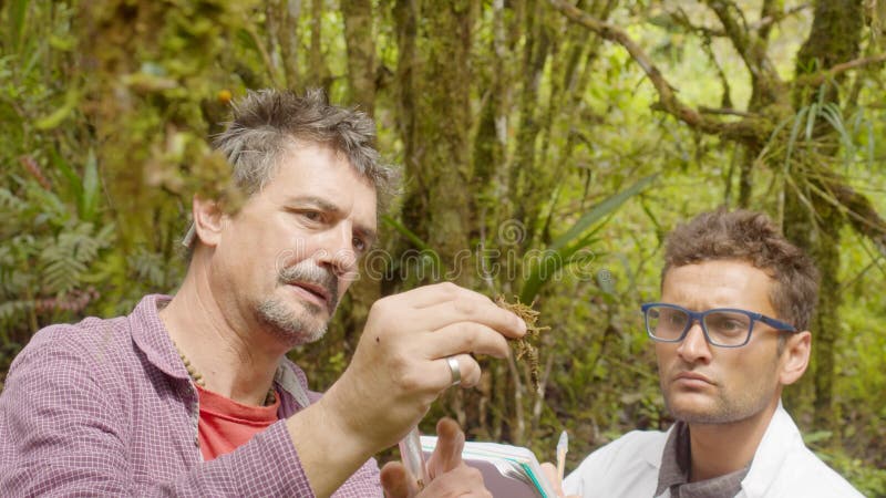 Botany Teacher with His Student Taking a Sample of a Plant Stock Video ...