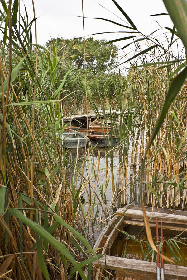 Boten in het riet stock foto. Image of riet, buitenkant - 33954724