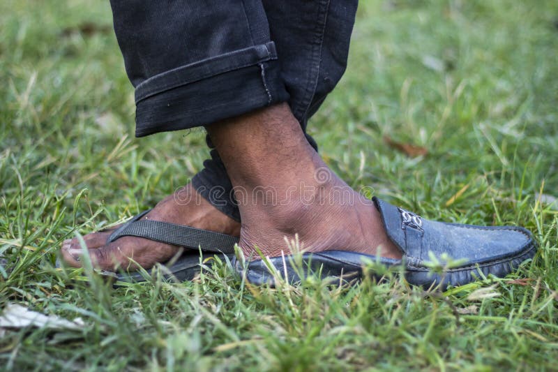 Both Legs are Standing Crosswise on the Ground Grass Stock Photo ...